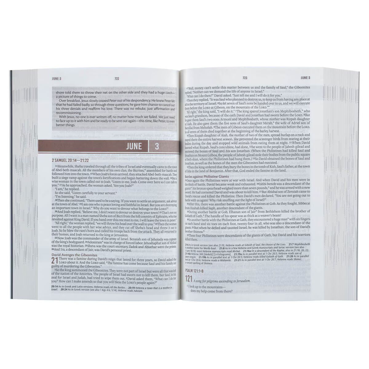 Blue Mountain Softcover NLT Everyday Devotional Bible for Men – Kards Plus